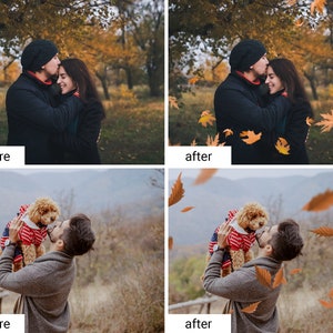 35 Autumn Leaves Overlays Photo Overlays Fall Autumn - Etsy