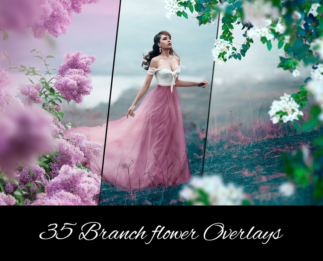 35 PNG Branch Flower Photo Overlays: Flowering Trees, Branches, Summer ...