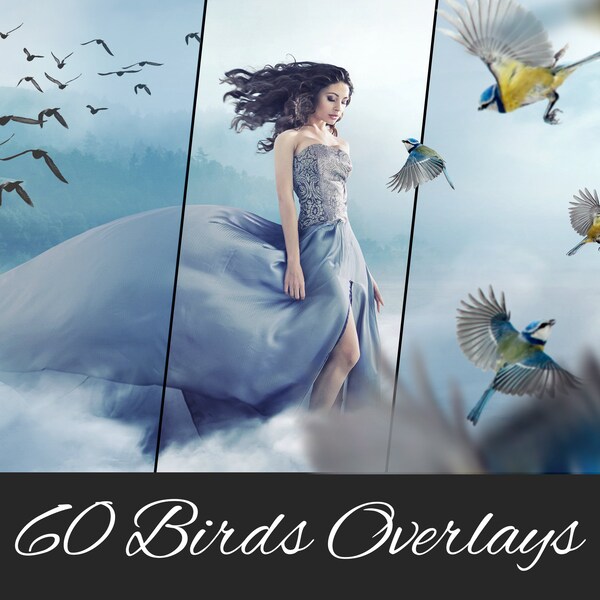 Flock of Birds - Etsy