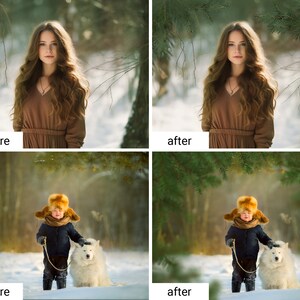 30 Pine Branch Photo Overlays, Png: Christmas Trees, Pine, Fir Branches ...