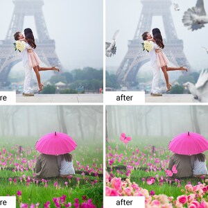 65 Romantic Collection Mix Overlays Petals Rose Flower - Etsy