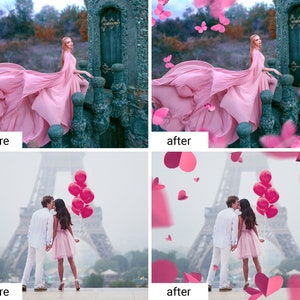 65 Romantic Collection Mix Overlays Petals Rose Flower - Etsy
