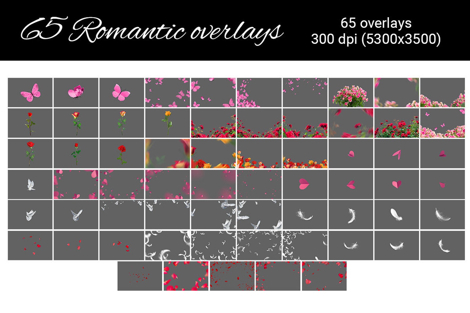 65 Romantic Collection Mix Overlays Petals Rose Flower | Etsy