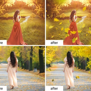 35 PNG Gold Fall Photo Overlays: Ginkgo Leaves, Fall Branches, Gold ...