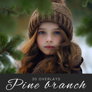 30 Pine Branch Photo Overlays, Png: Christmas Trees, Pine, Fir Branches ...