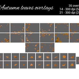 35 Autumn Leaves Overlays Photo Overlays Fall Autumn - Etsy