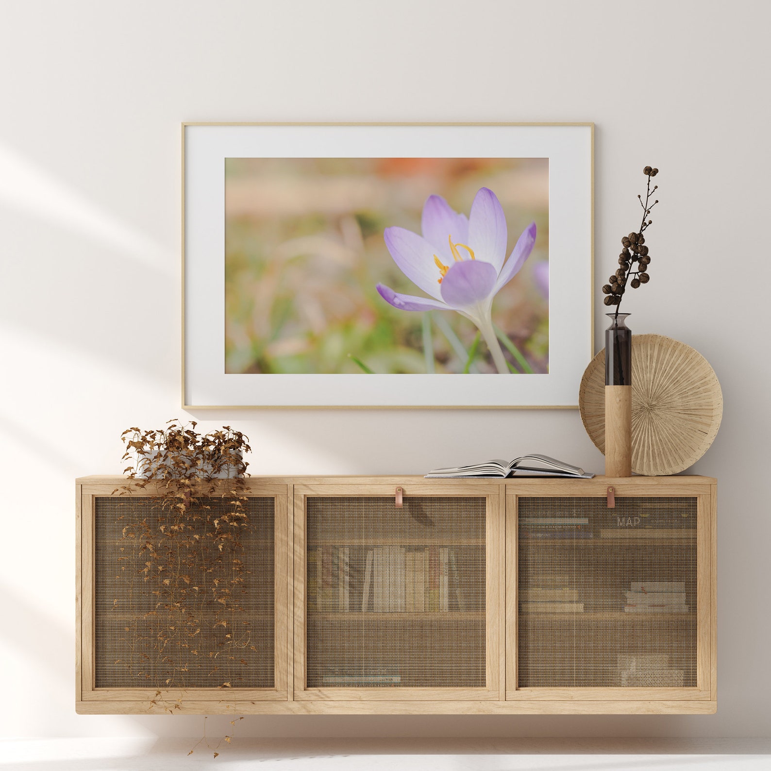 Purple Crocus Print, Fine Art Spring Flower Photography, Minimalist ...