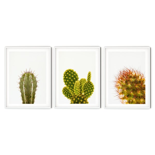 Cactus Print - Etsy