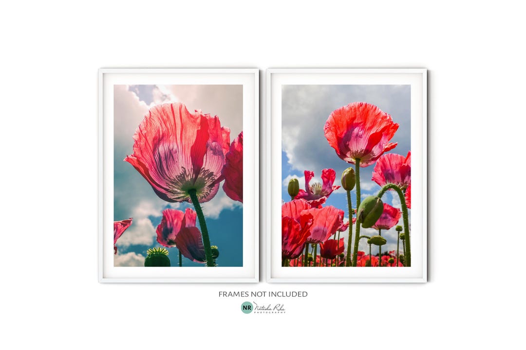 Red Poppy Wall Art Set of 2 Fine Art Photography Prints, Botanical ...