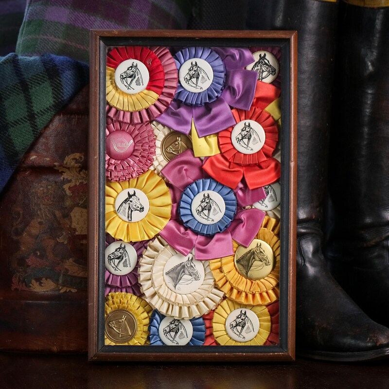 Horse Show Ribbons - Etsy