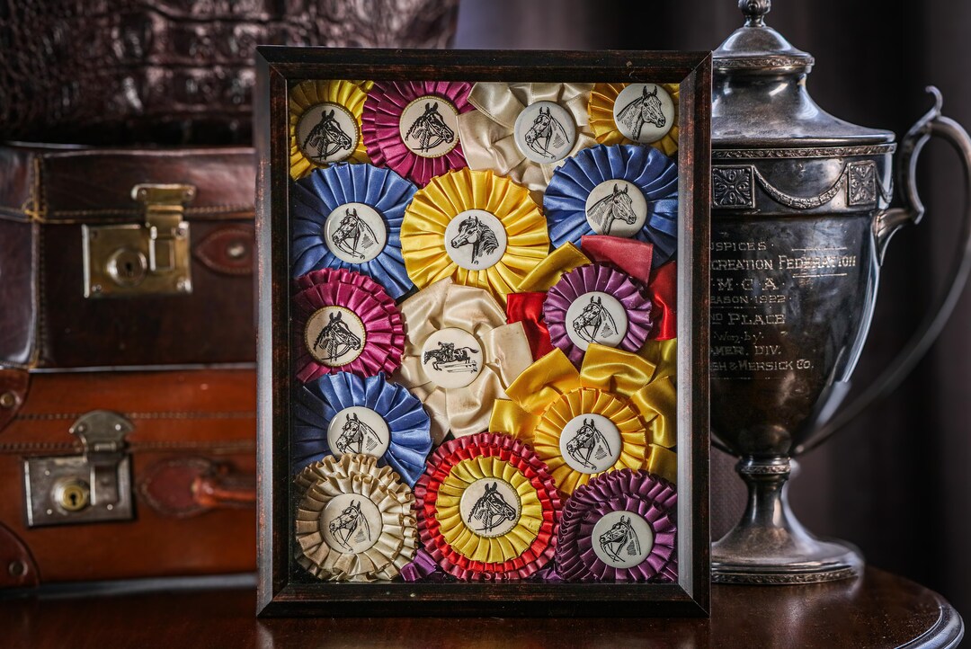 Neat Collage Vintage Horse Show Ribbons Trophy Shadow Box Home Country ...