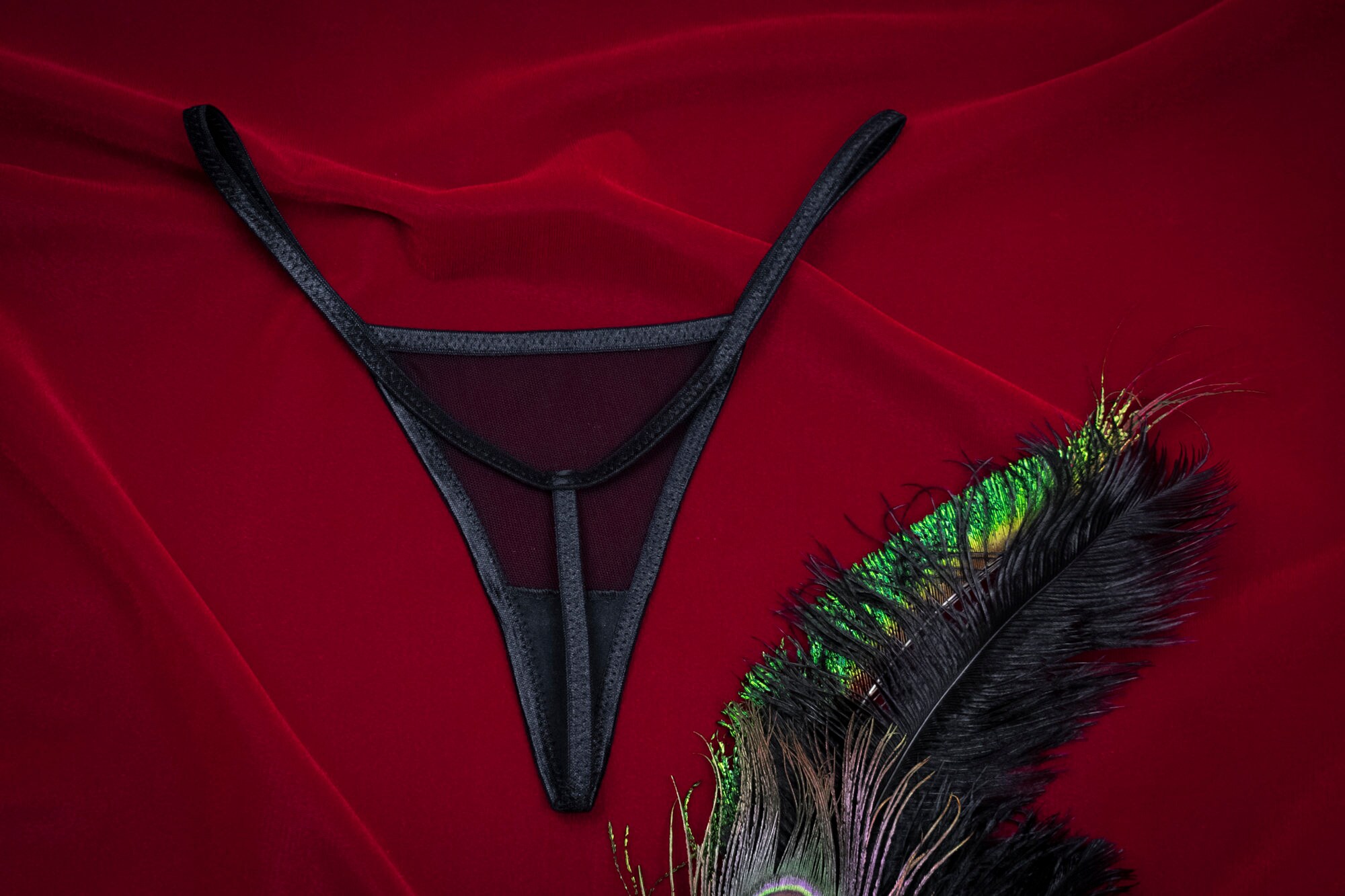 Sheer Black G-string. Sexy Mesh Handmade Lingerie. Low Cut Mesh G ...