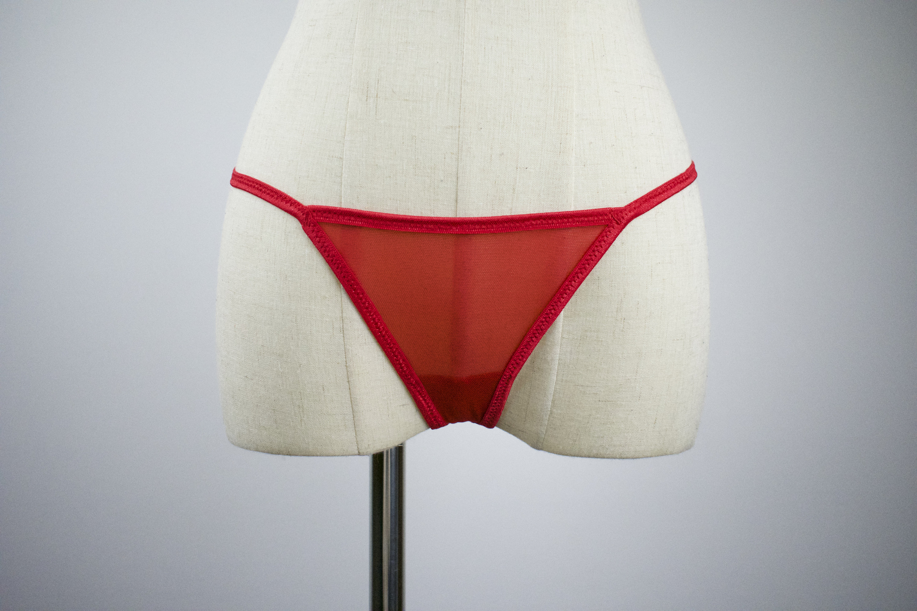 Sheer Red G String Sexy Mesh Handmade Lingerie See Through G String
