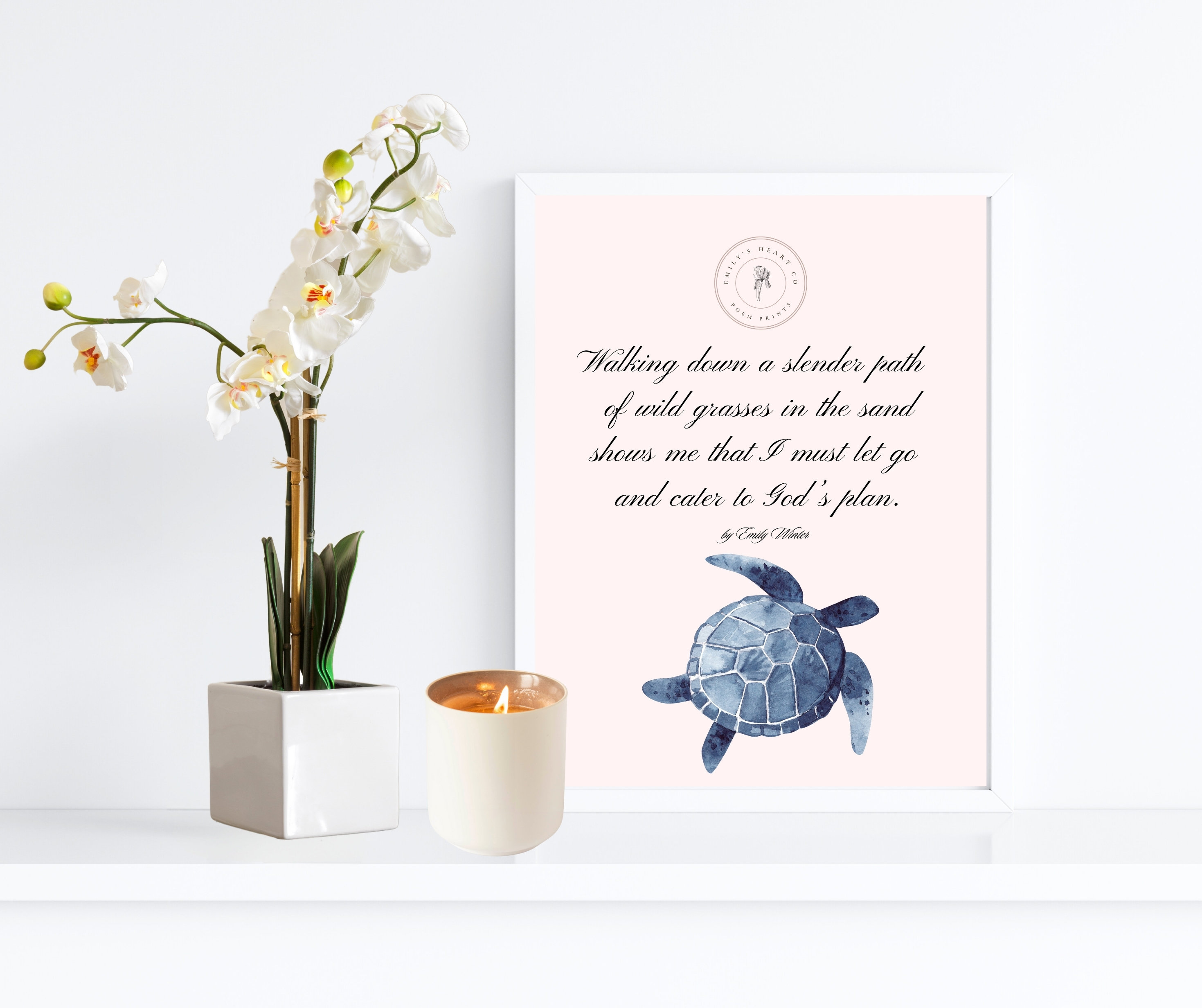 Baby Sea Turtle Quotes