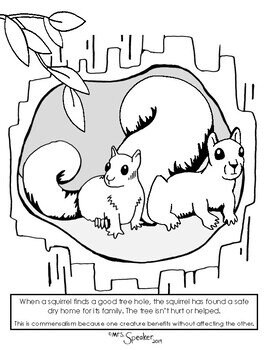 Animal Symbiosis Coloring - Etsy