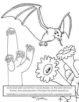 Animal Symbiosis Coloring - Etsy