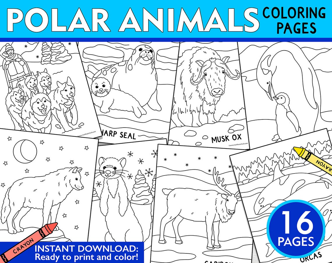 Arctic Animals Coloring Pages: 16 Winter Printables (PDF) - Etsy