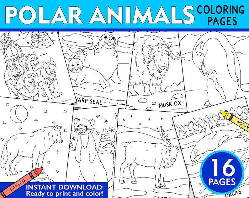 Arctic Animals Coloring Pages: 16 Winter Printables (PDF) - Etsy