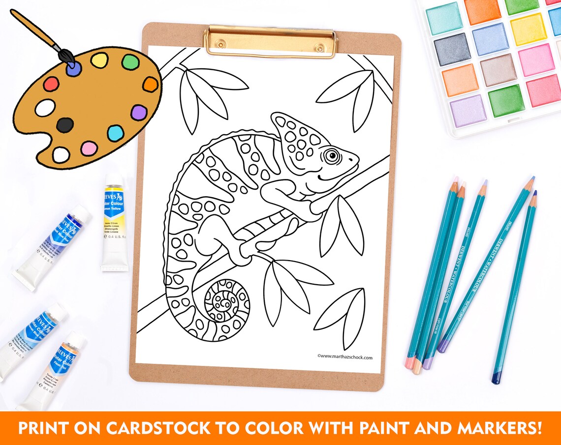 Rainforest Coloring Pages, Rainforest Coloring Sheets, Kids Rainforest ...