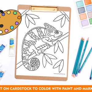 Rainforest Animals Coloring Pages: Kids Printable Activity (PDF) - Etsy