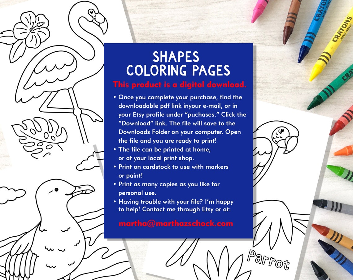 Bird Coloring Pages, Bird Coloring Sheets, Bird Identification Coloring ...