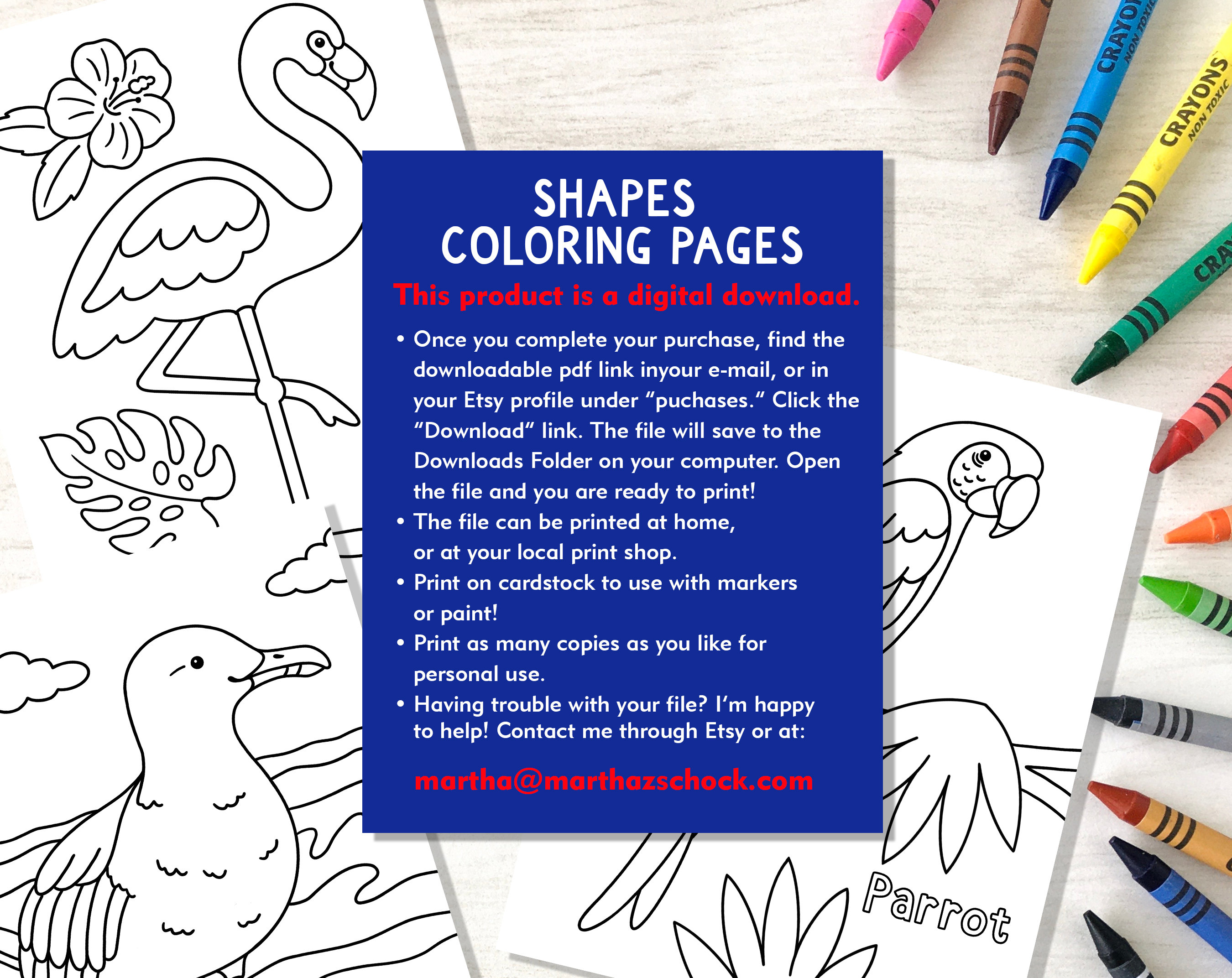 Bird Coloring Pages, Bird Coloring Sheets, Bird Identification Coloring ...