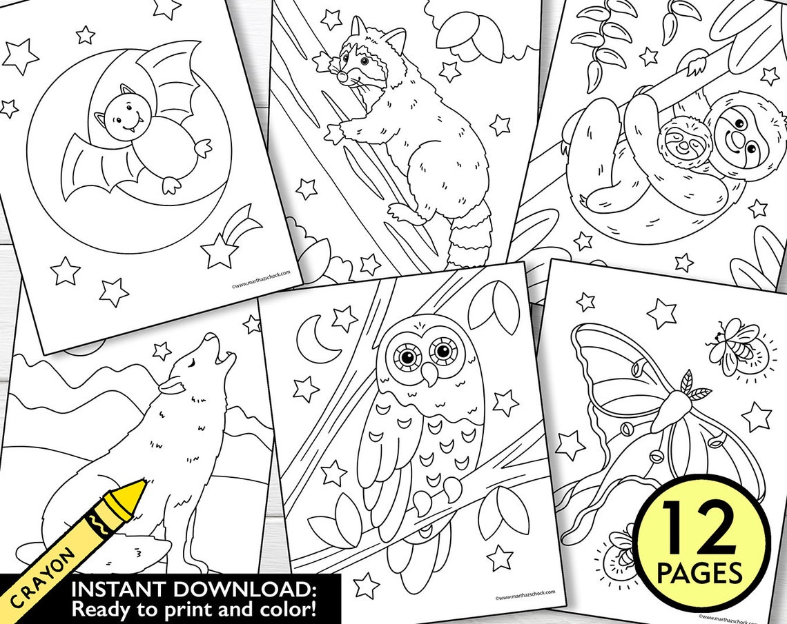 Nocturnal Animals Coloring Pages: 12 Printable Sheets (digital Download ...