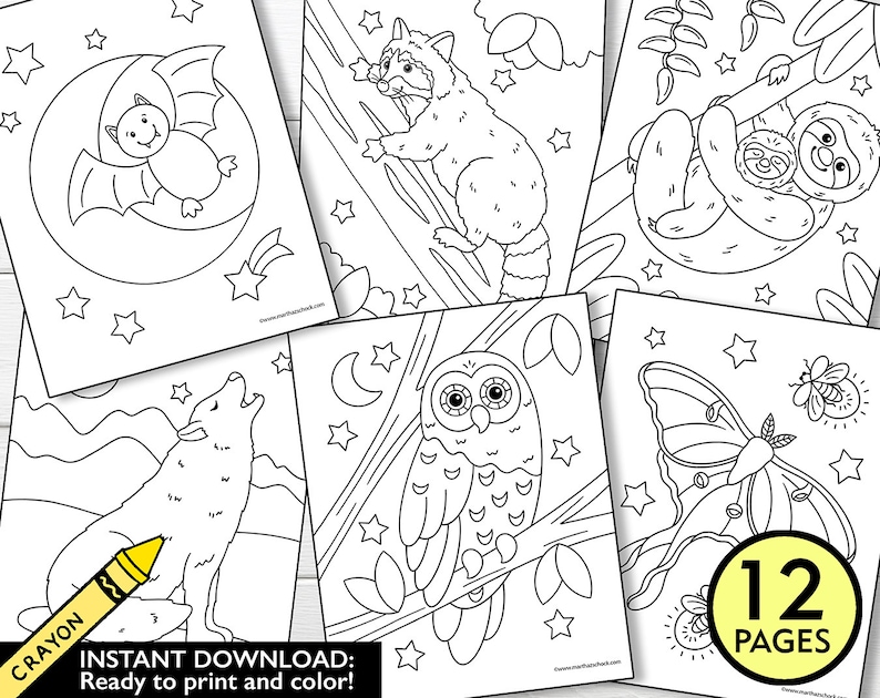 Nocturnal Animals Coloring Pages, Animals at Night, Nocturnal Animals ...