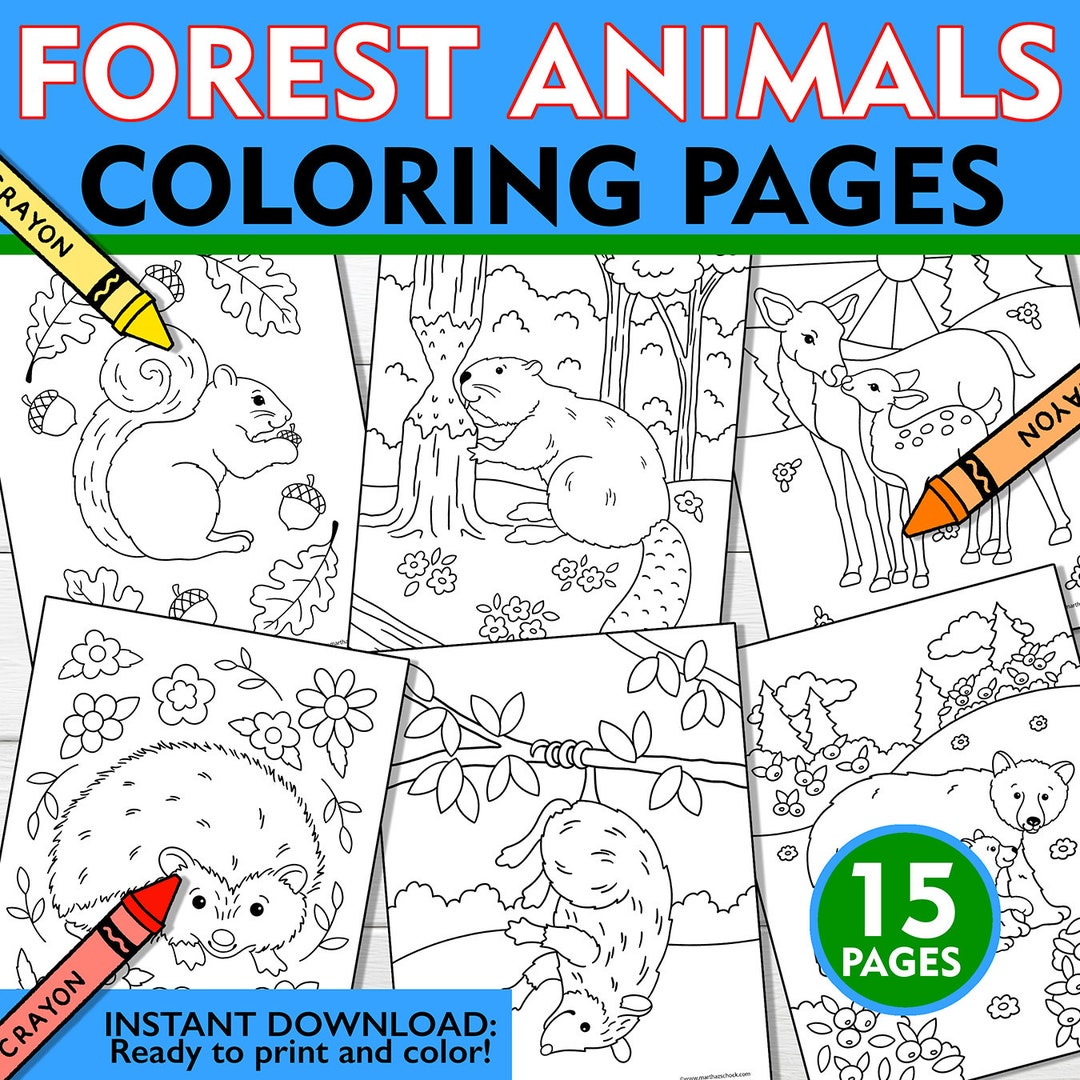 Forest Animal Coloring Pages: Woodland Friends, 15 Illustrations (PDF ...