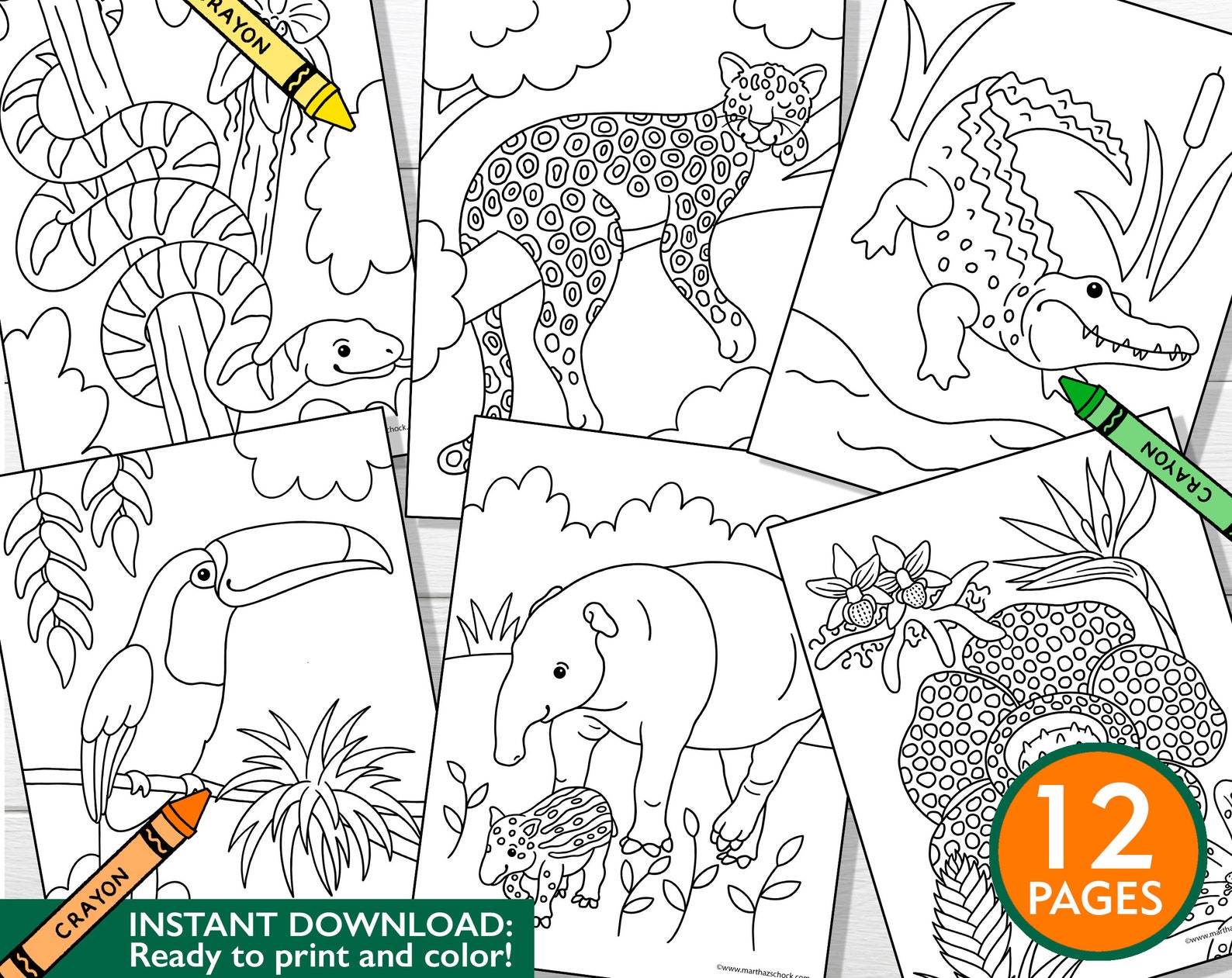 Rainforest Animals Coloring Pages: Kids Printable Activity (PDF) - Etsy