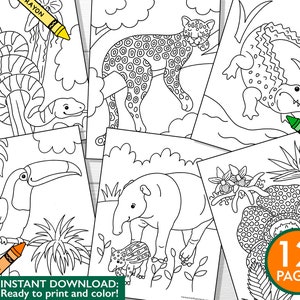 Rainforest Animals Coloring Pages: Kids Printable Activity (PDF) - Etsy