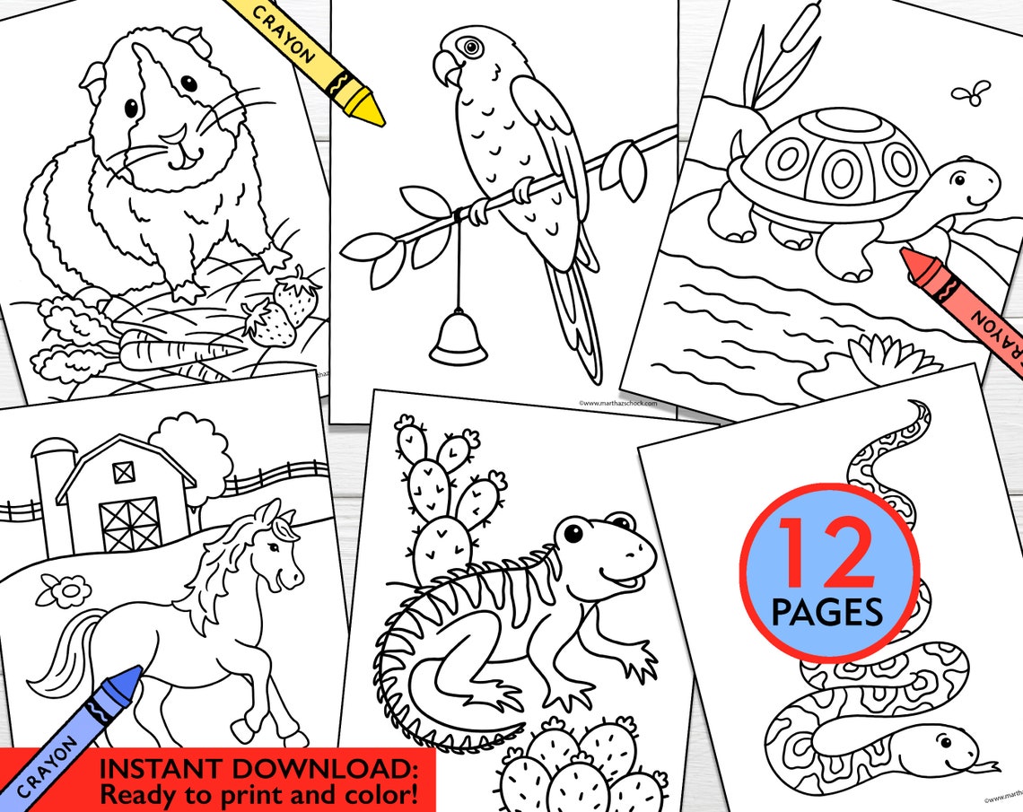 Pets Coloring Pages, Pet Friends Coloring Pages, Favorite Pets Coloring ...