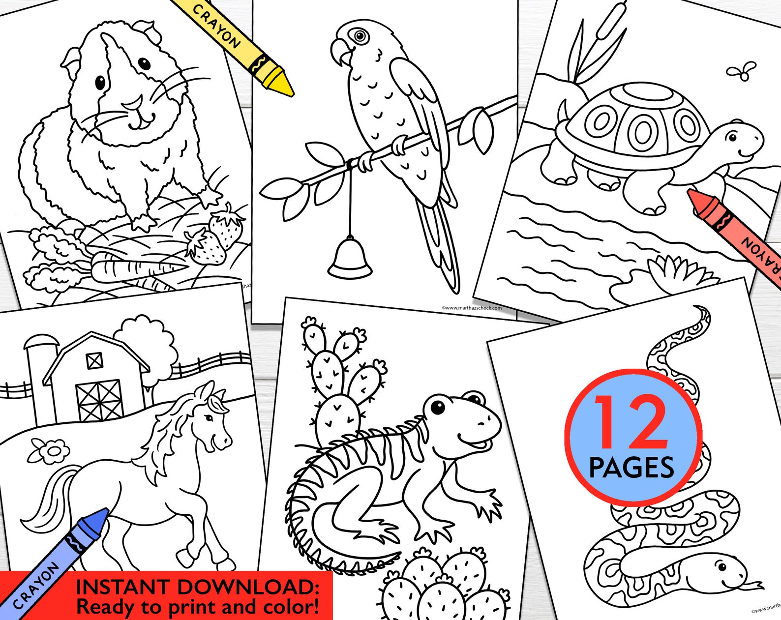 Pets Coloring Pages, Pet Friends Coloring Pages, Favorite Pets Coloring ...