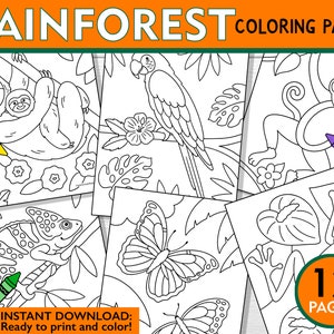 Rainforest Coloring Pages, Rainforest Coloring Sheets, Kids Rainforest ...