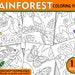 Rainforest Animals Coloring Pages: Kids Printable Activity (PDF) - Etsy
