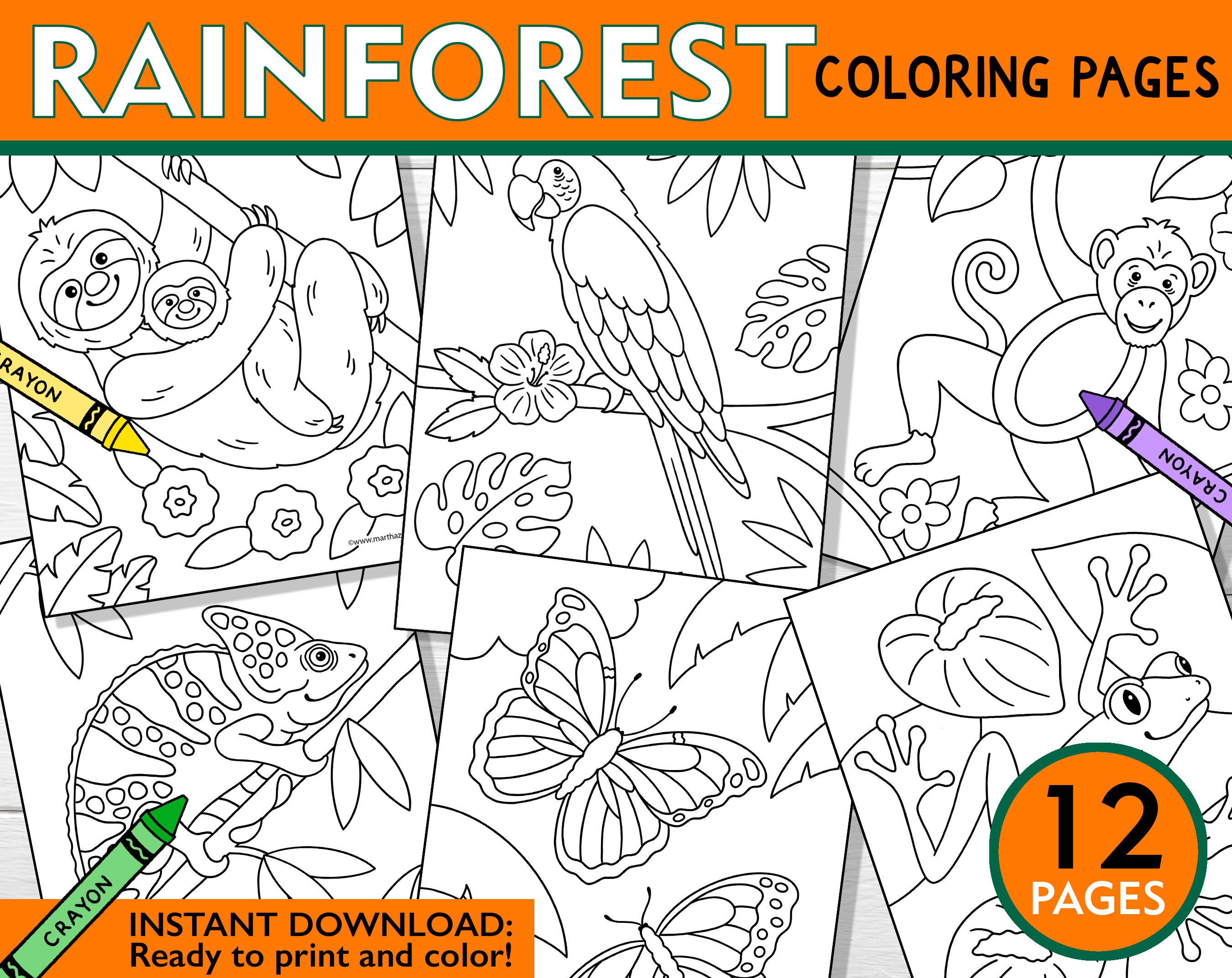 Free Printable Coloring Pages Rainforest