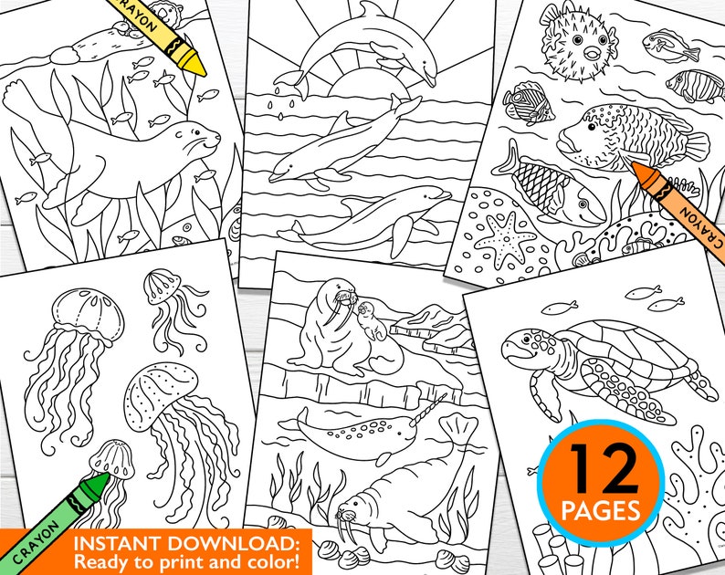 Ocean Animal Coloring Pages: 12 Printable Designs (digital Download) - Etsy