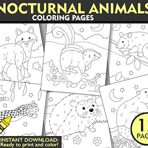 Nocturnal Animals Coloring Pages, Animals at Night, Nocturnal Animals ...