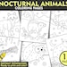 Nocturnal Animals Coloring Pages: 12 Printable Sheets (digital Download ...