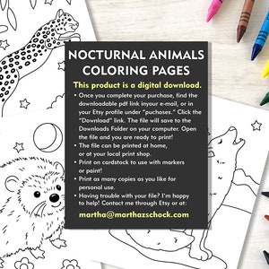 Nocturnal Animals Coloring Pages, Animals at Night, Nocturnal Animals ...
