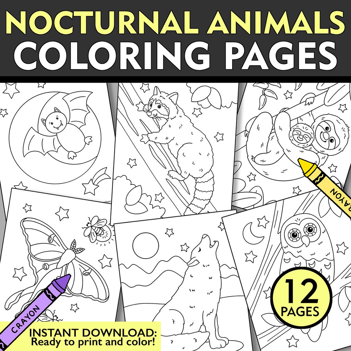 Nocturnal Animals Coloring Pages: 12 Printable Sheets (digital Download ...