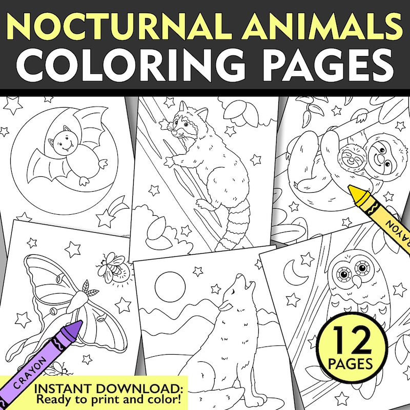 Sloth Coloring Book - Etsy