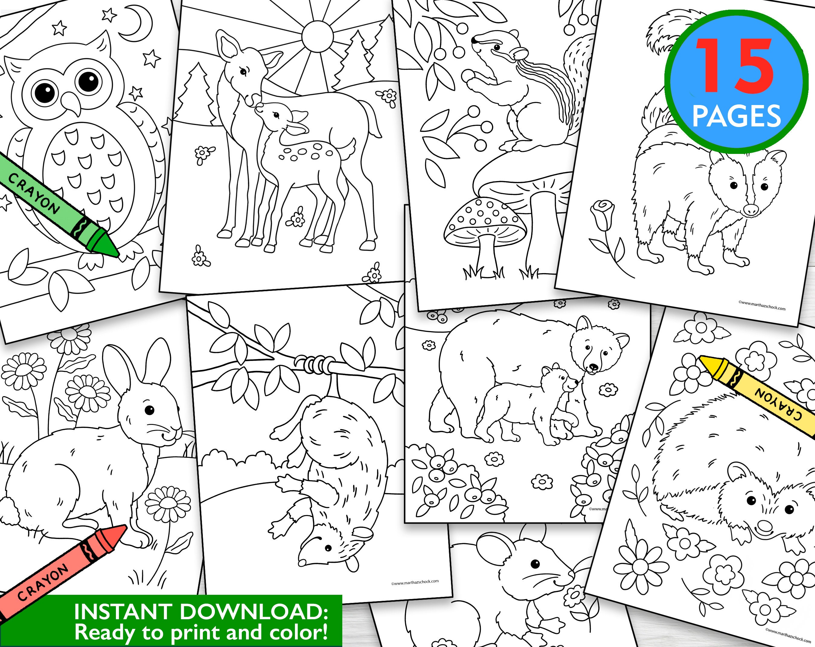 Forest Animal Coloring Pages: Woodland Friends, 15 Illustrations (PDF ...