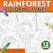 Rainforest Animals Coloring Pages: Kids Printable Activity (PDF) - Etsy