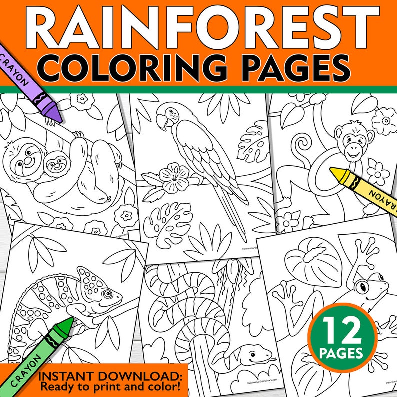 Rainforest Animals Coloring Pages: Kids Printable Activity (PDF) - Etsy