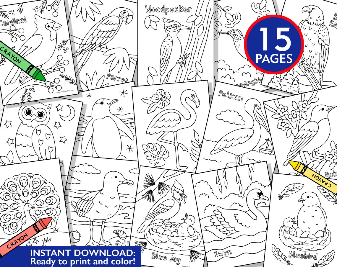 Bird Coloring Pages, Bird Coloring Sheets, Bird Identification Coloring ...
