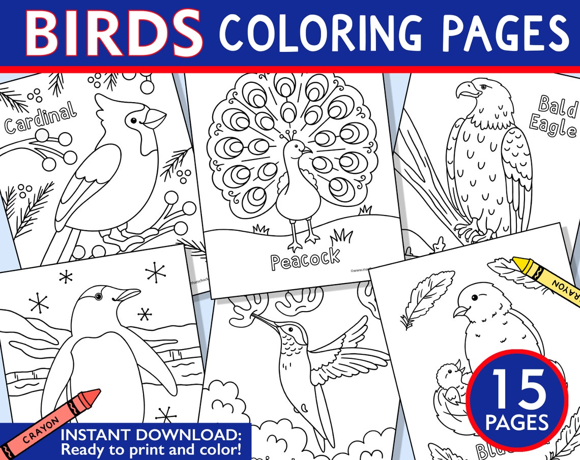 Bird Coloring Pages, Bird Coloring Sheets, Bird Identification Coloring ...