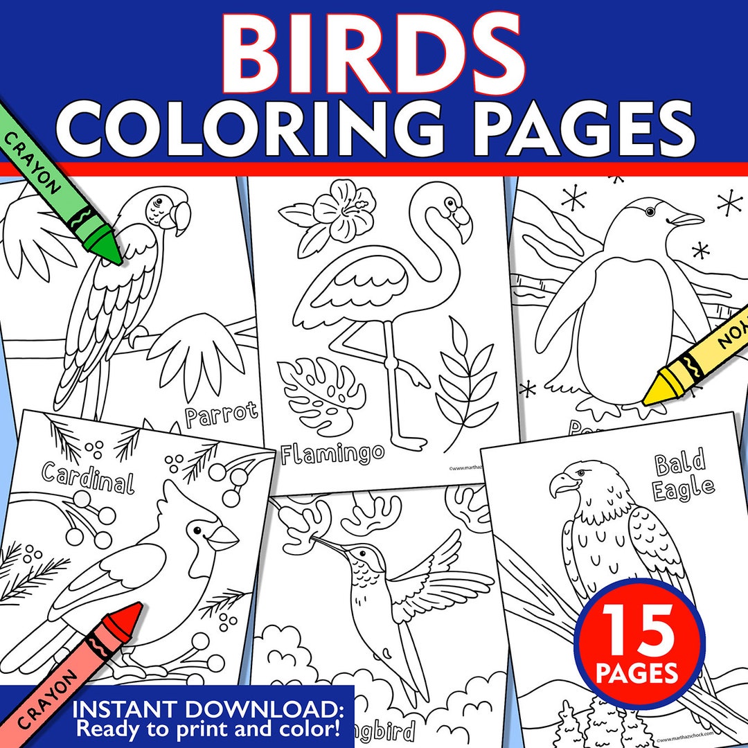 Bird Coloring Pages, Bird Coloring Sheets, Bird Identification Coloring ...