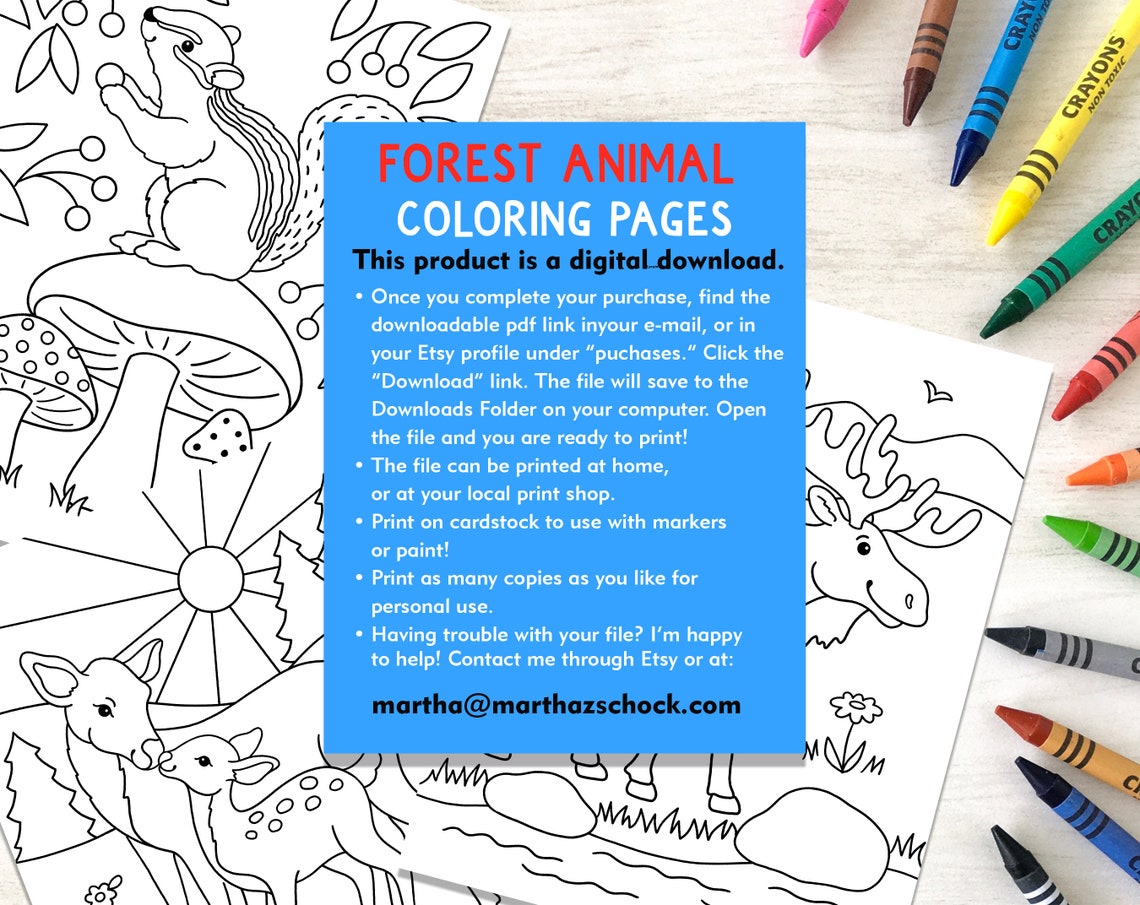 Forest Animal Coloring Pages: Woodland Friends, 15 Illustrations (PDF ...