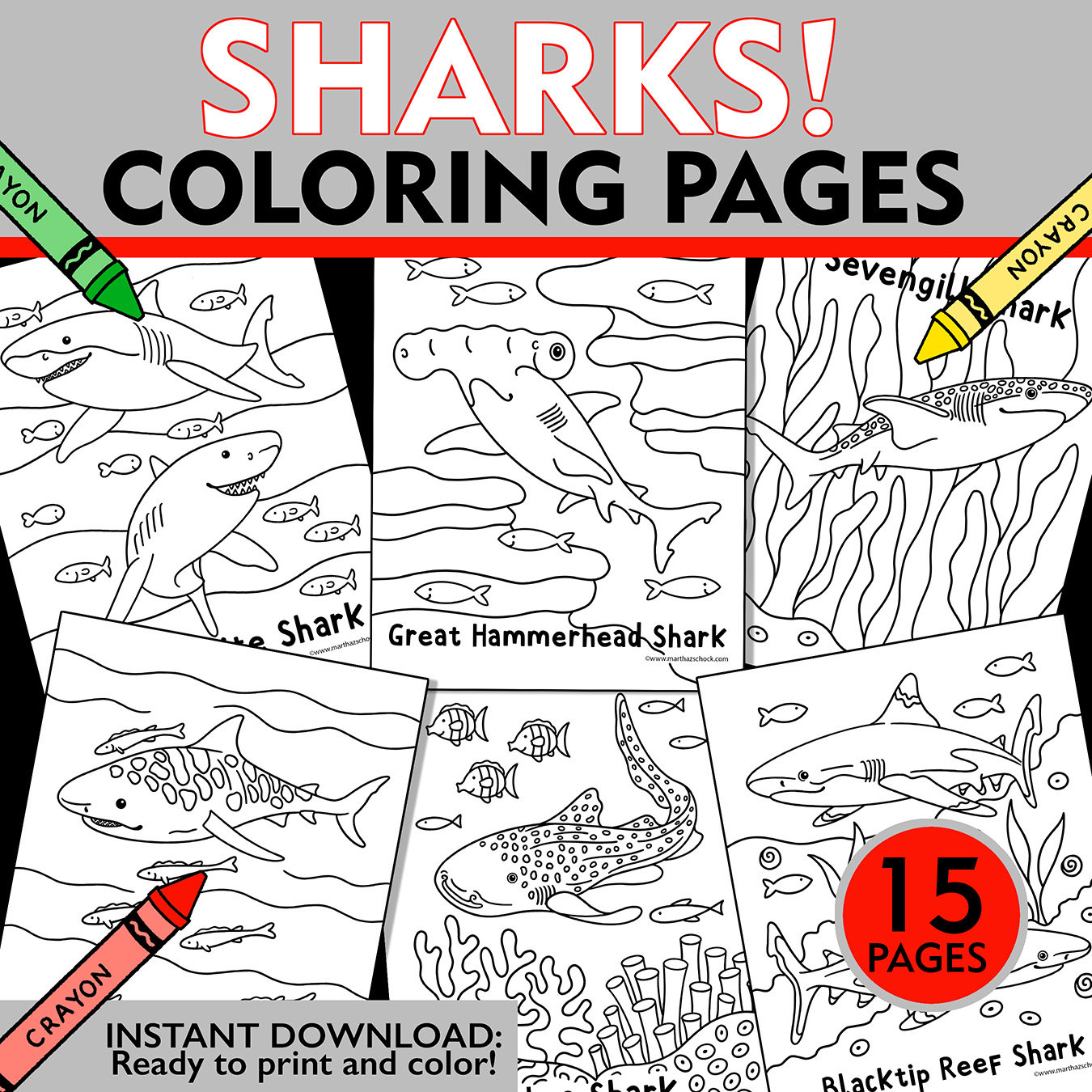 Hammerhead Shark Coloring Pages For Kids [2025]